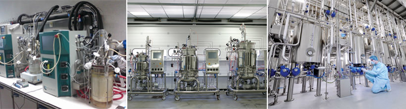 Process Scale-up - Creative Biolabs